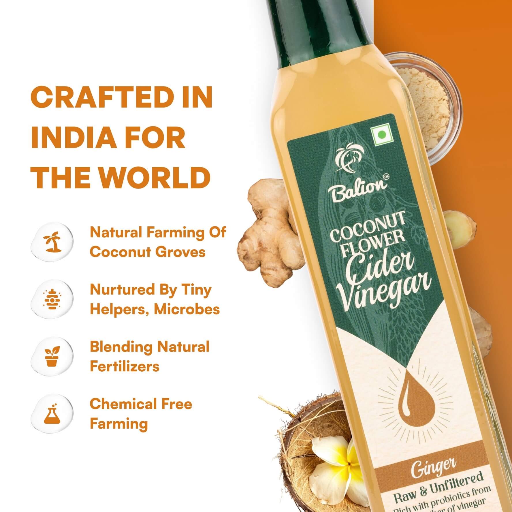 Coconut Flower Cider Vinegar - Ginger – Singapore Balion Agrofoods Pvt ...